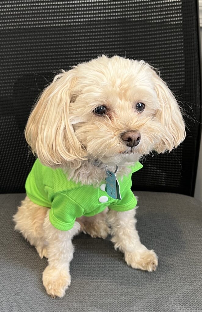 PRWA Staff - Pennsylvania Rural Water Association